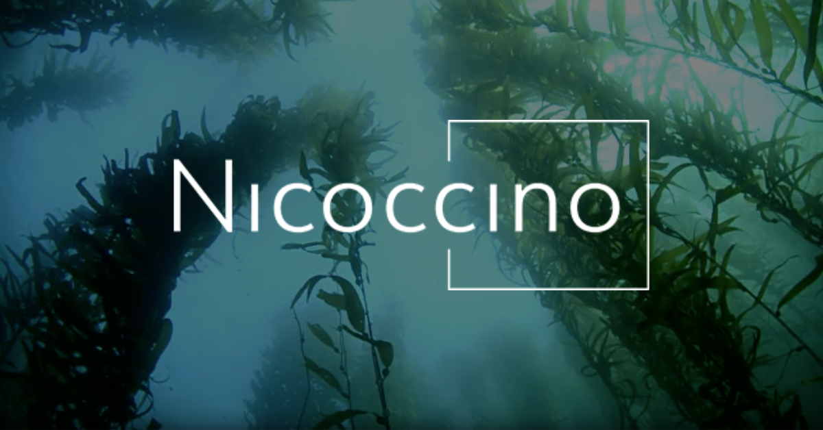About Our Tobacco Free Nicotine - Nicoccino